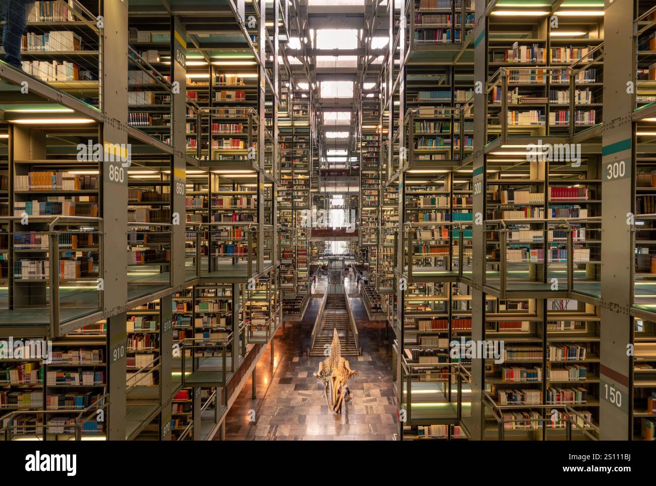 Interior view of Vasconcelos Library in the Downtown area of Mexico ...