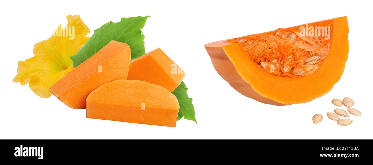 butternut squash slice isolated on white background with full depth of ...