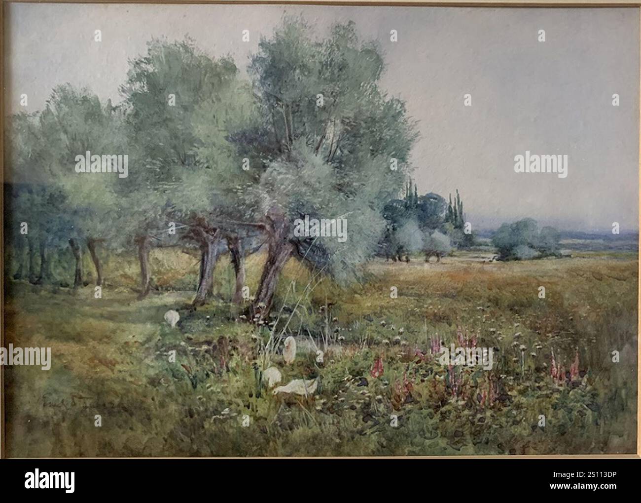 Emily newnham hi-res stock photography and images - Alamy