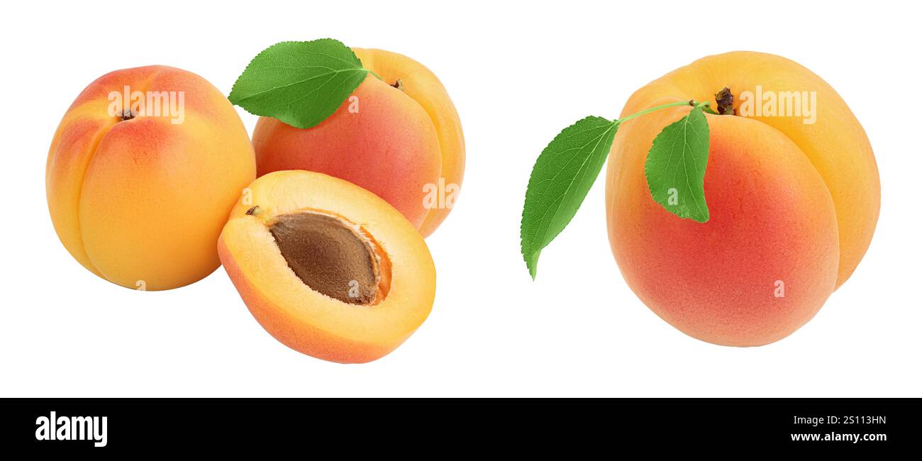 apricot fruit with half isolated on white background with full depth of ...