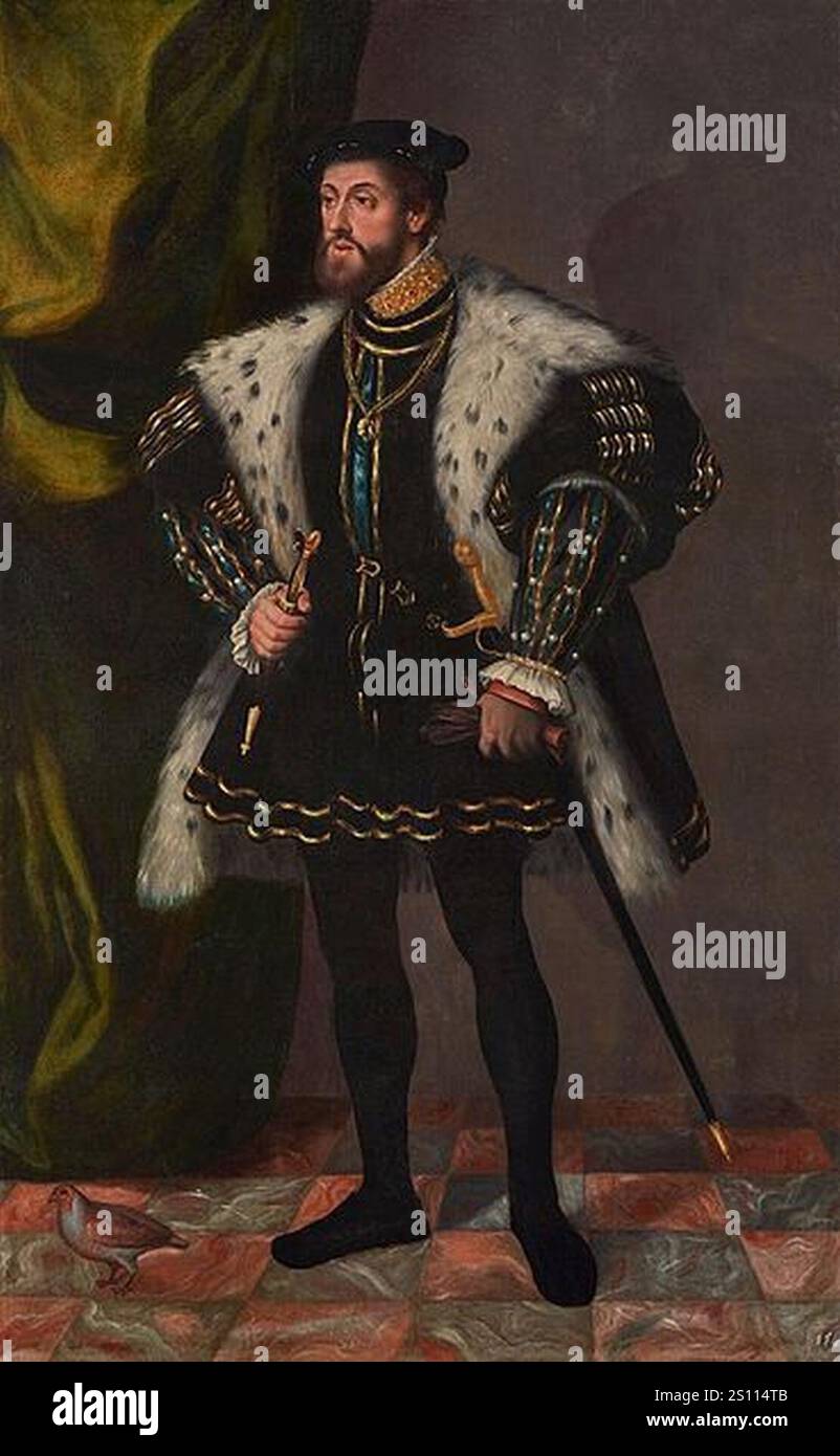 Seisenegger charles v hi-res stock photography and images - Alamy