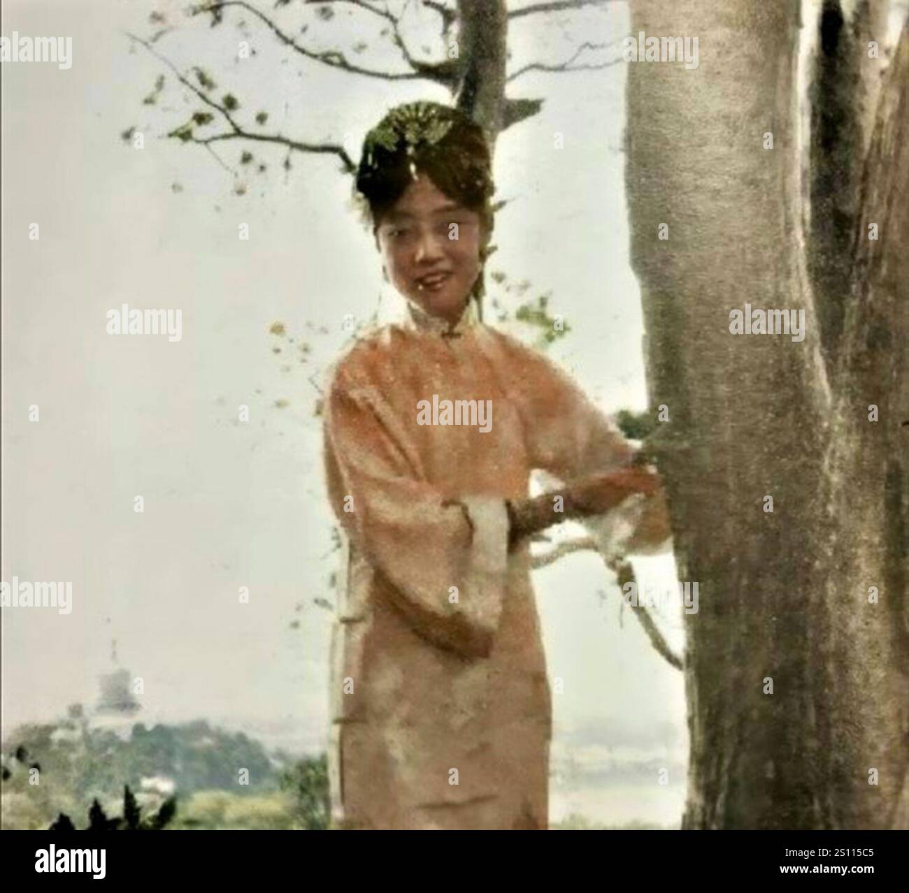 Empress Wanrong Tree Jingshan Park colorised Stock Photo - Alamy