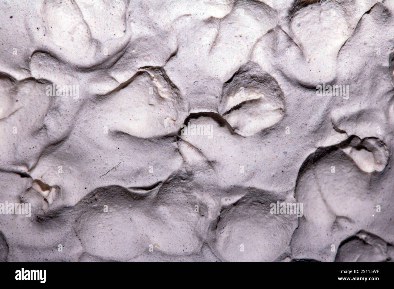 Crater Holes and Dips in Pottery Clay In a Thick White Texture Dots ...