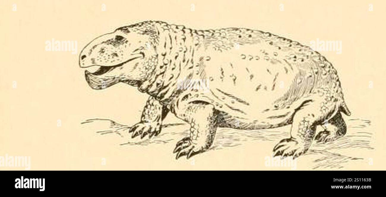 Endothiodon, from Osborn, H. F. (1917). The origin and evolution of ...