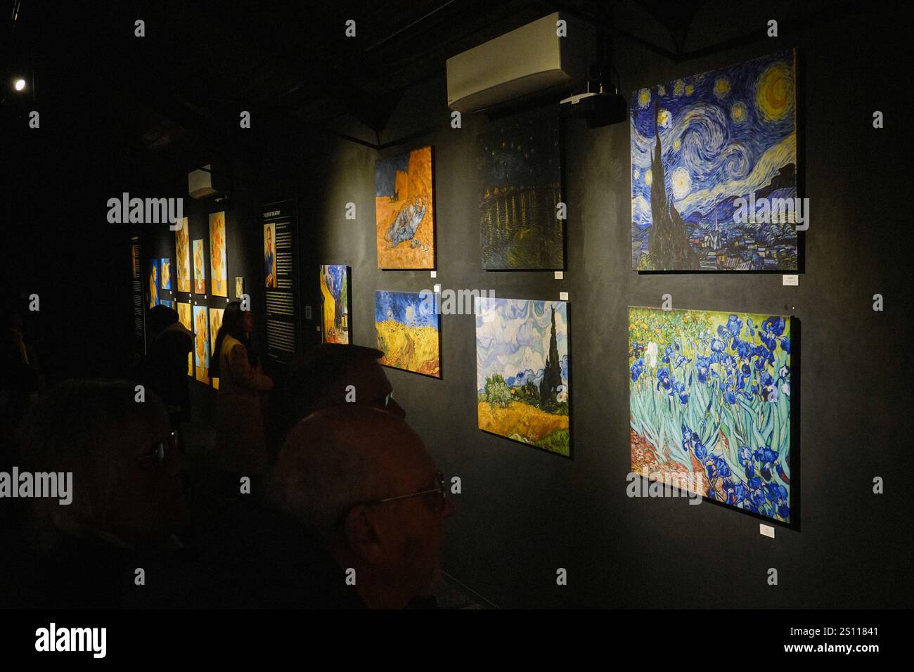 Van Gogh London Exhibition: The Immersive Experience, The Starry Night ...