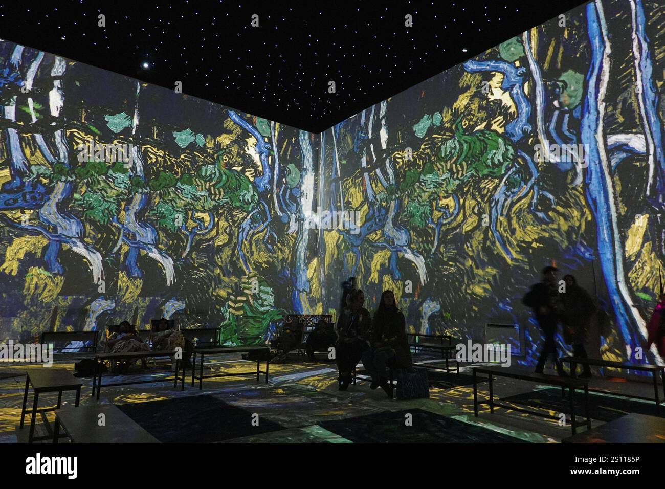 Van Gogh London Exhibition: The Immersive Experience Stock Photo - Alamy