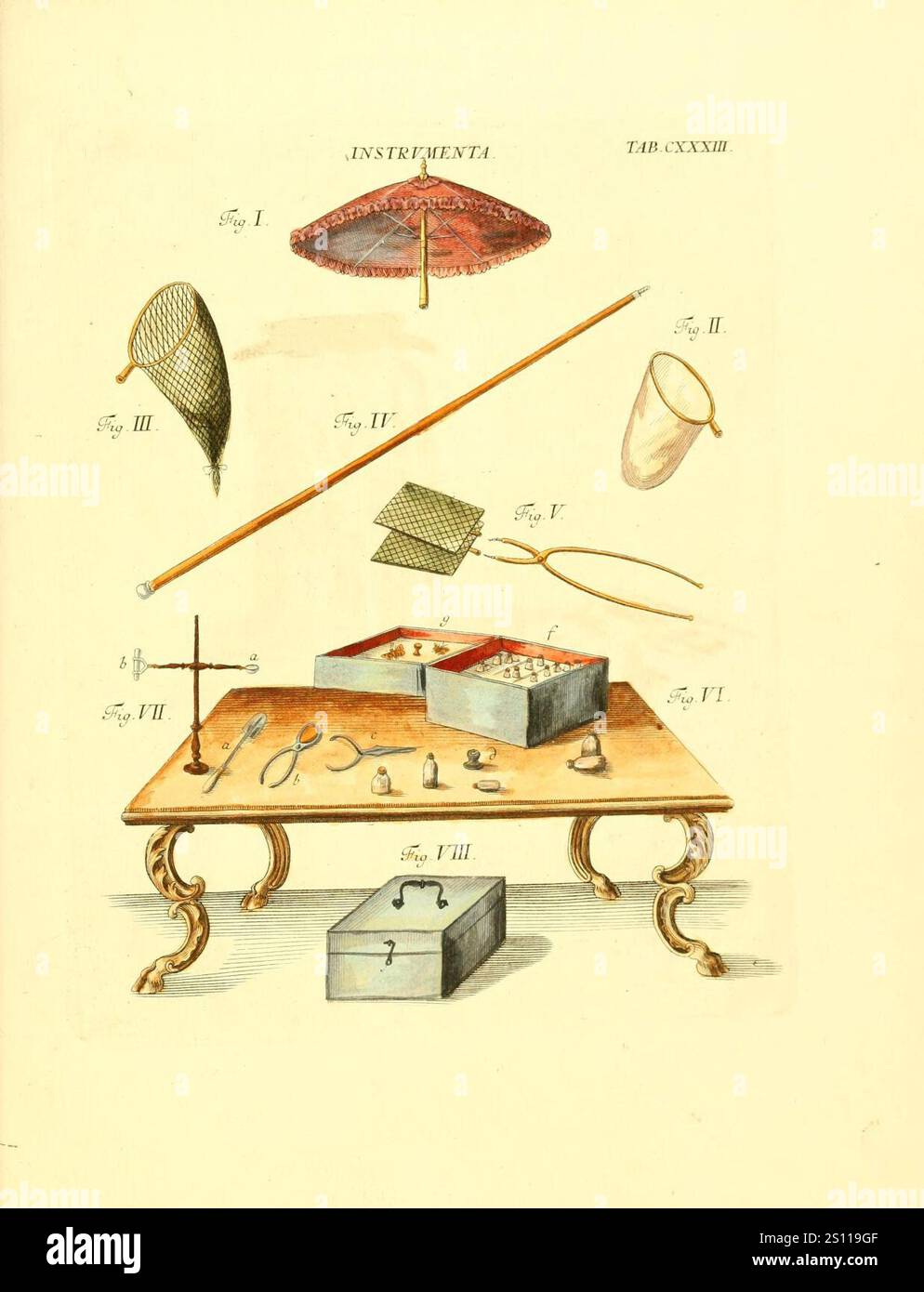Entomological equipment in the 18th Century Stock Photo - Alamy