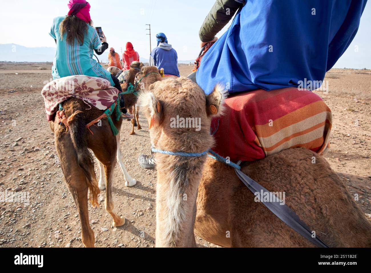 riding on the back of a camel part of a camel ride tour group douar bou ...