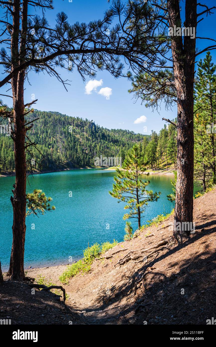 Pactola Lake is the largest and deepest reservoir in the Black Hills ...