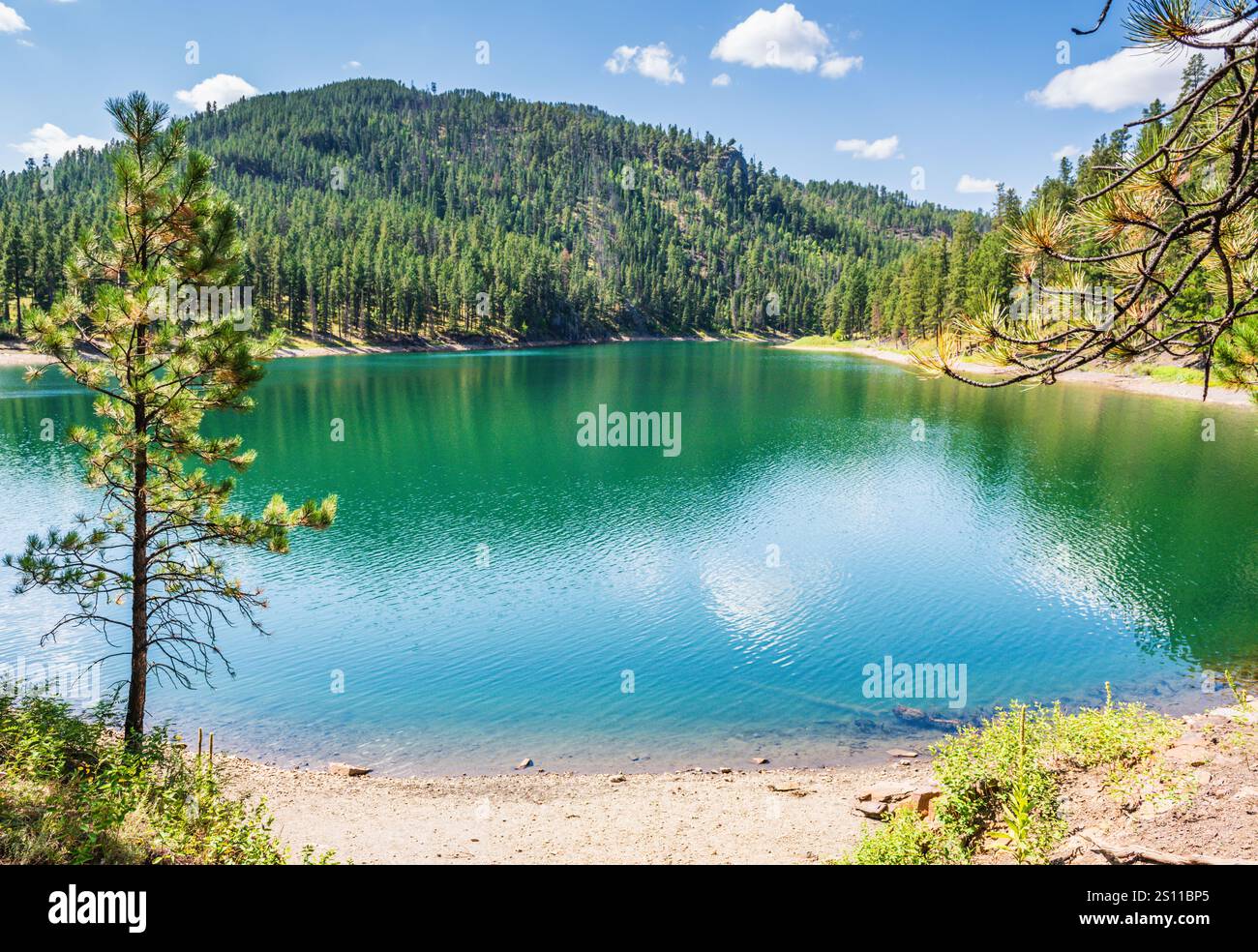 Pactola Lake is the largest and deepest reservoir in the Black Hills ...