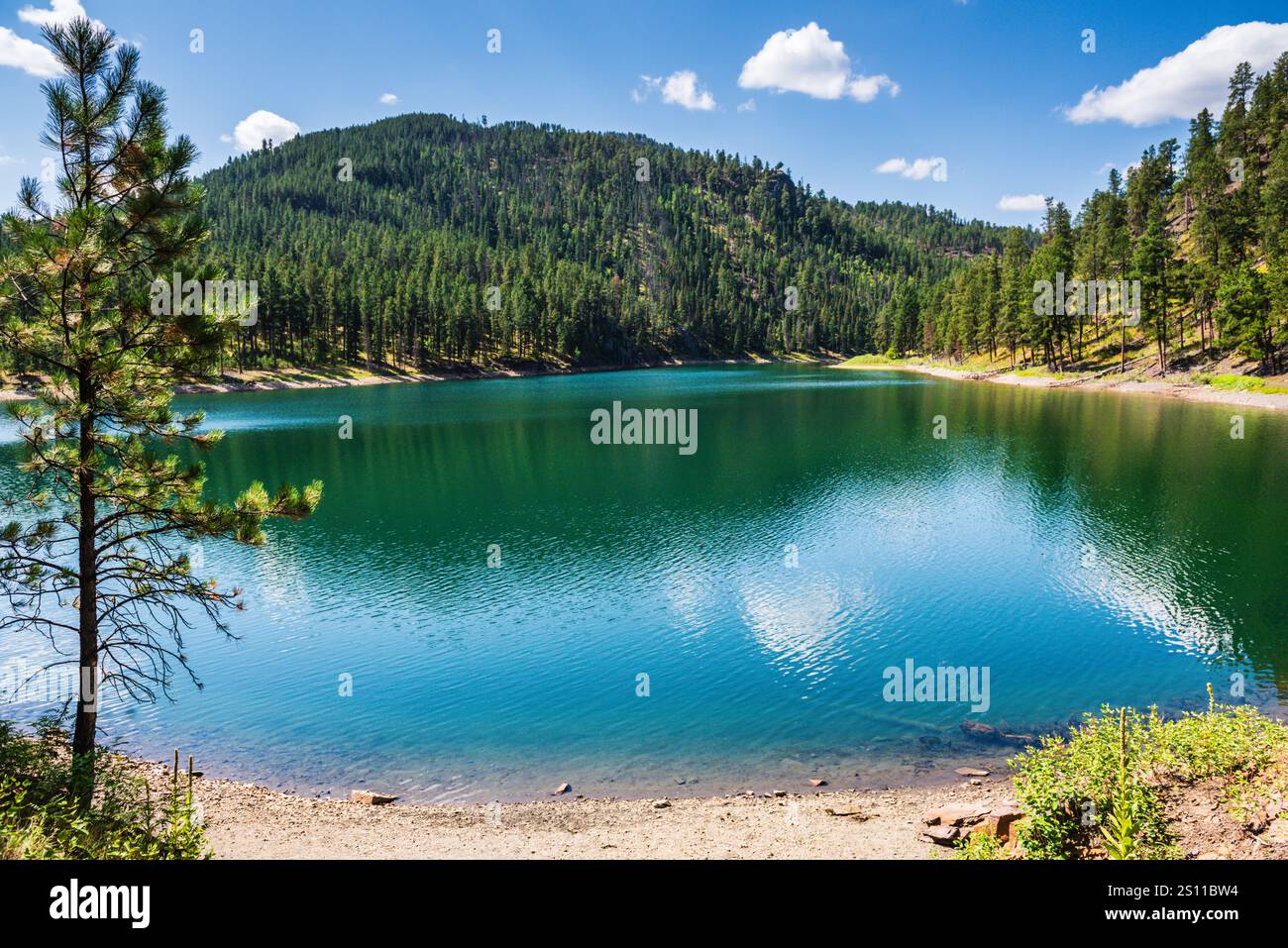 Pactola Lake is the largest and deepest reservoir in the Black Hills ...