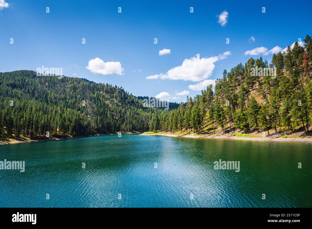 Pactola Lake is the largest and deepest reservoir in the Black Hills ...