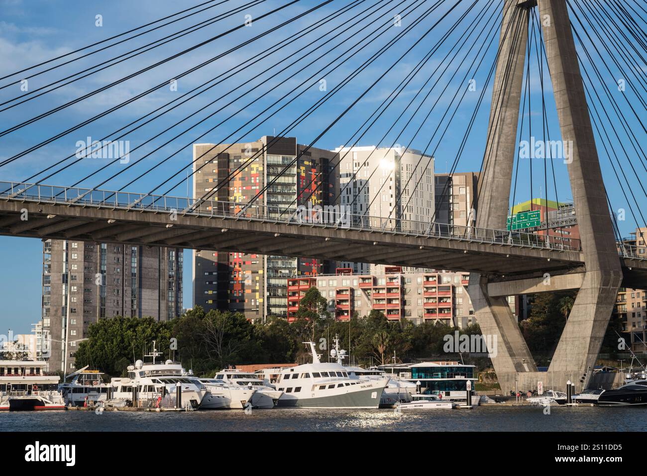 View of Anzac Bridge from the Glebe Foreshore Walk, Glebe, an inner ...