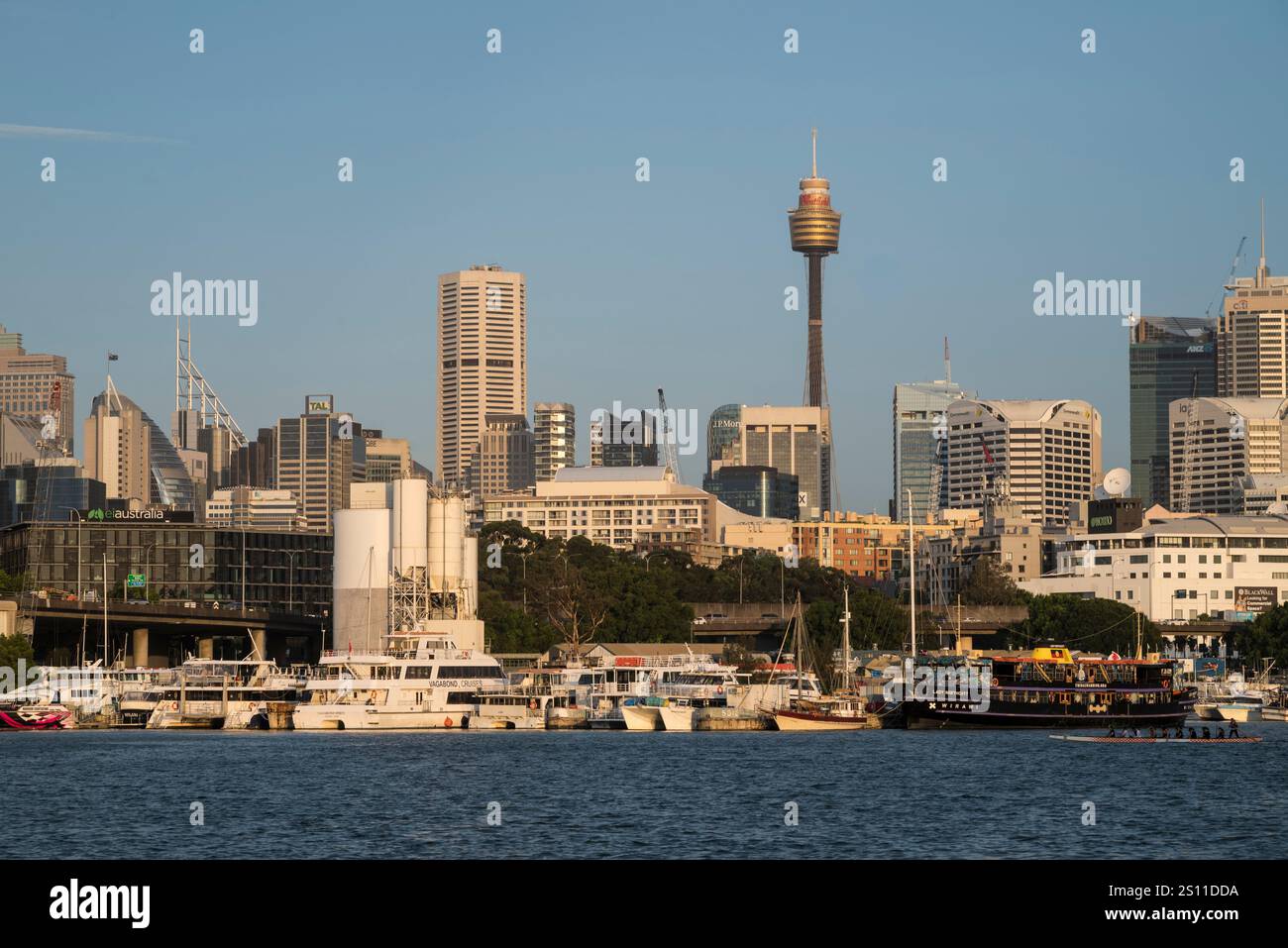 City skyline from Glebe Foreshore Walk, Glebe, an inner-western suburb ...