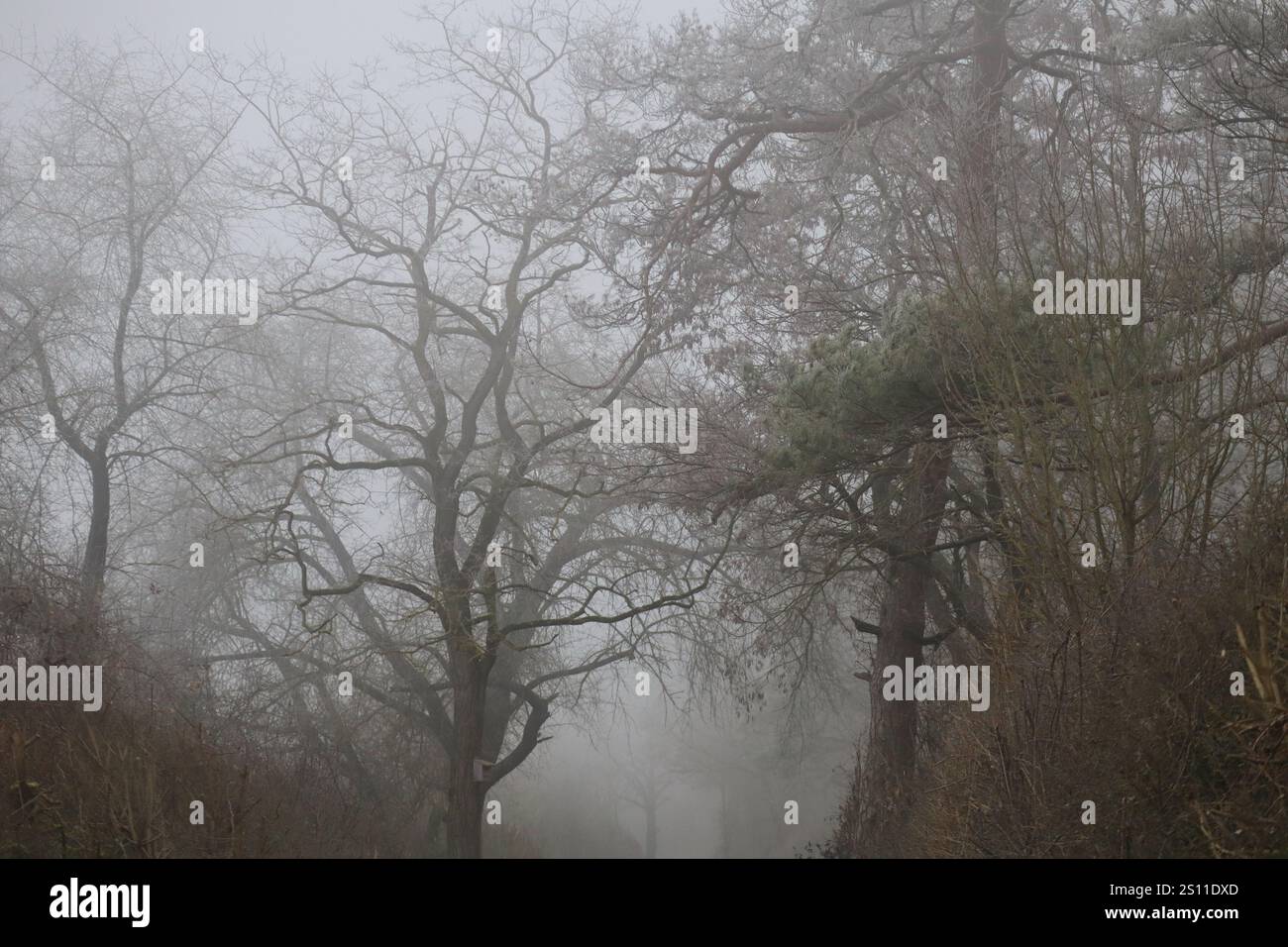 Inconspicuous box hi-res stock photography and images - Alamy