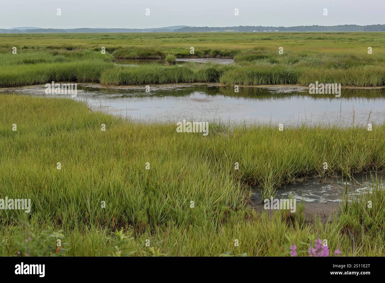Known as the largest saltwater marsh in the world, at 3,200 acres in ...