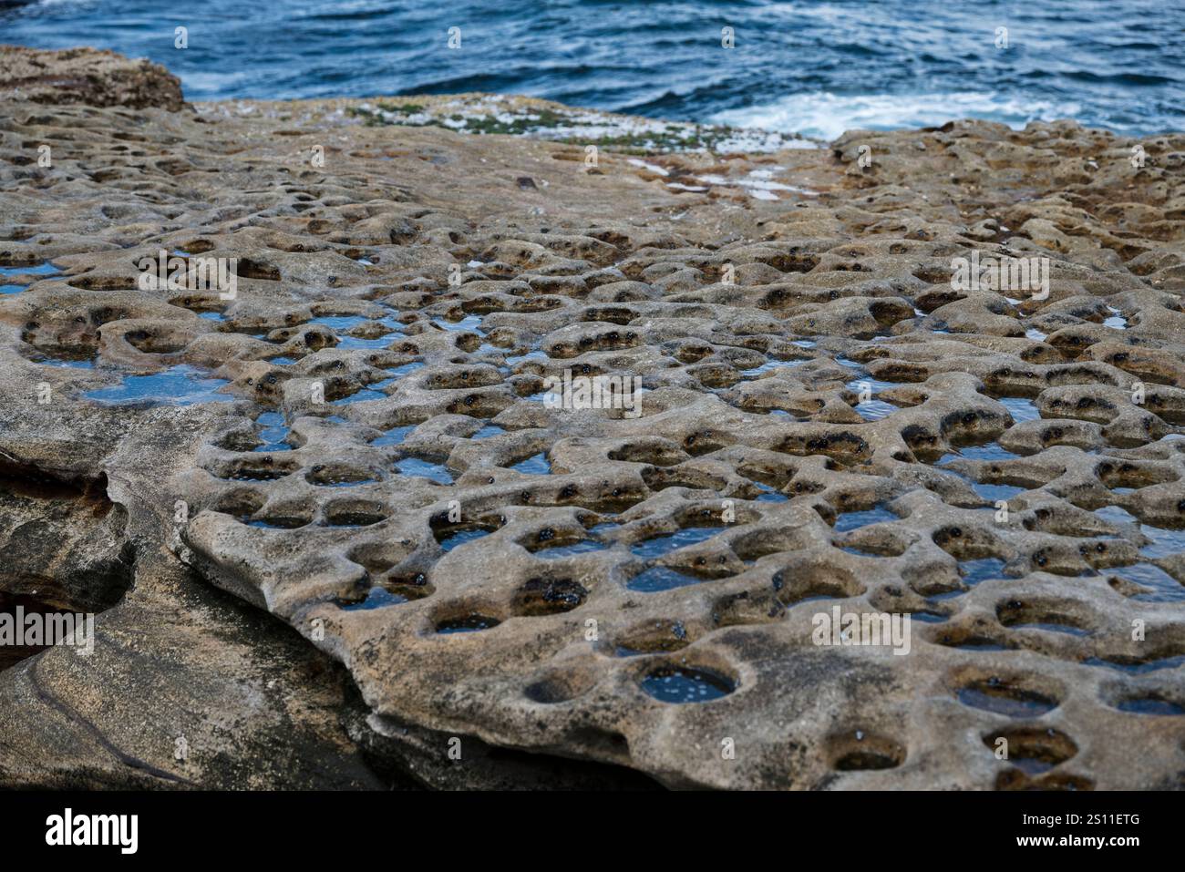 Small rock pools in Botany Bay, La Perouse, Sydney, NSW, Australia ...