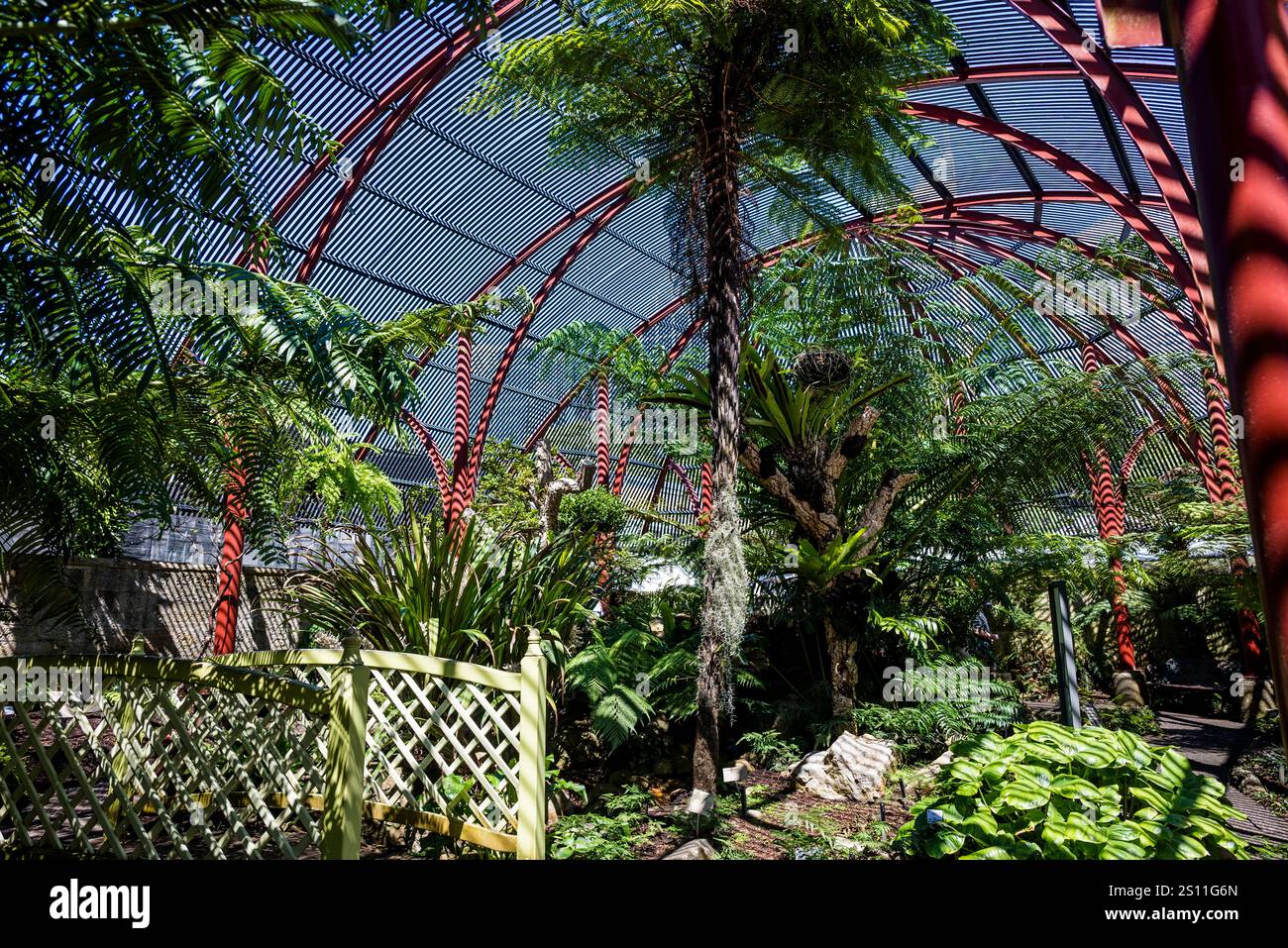 Sydney Fernery glasshouse that houses more than 350 species of ferns ...