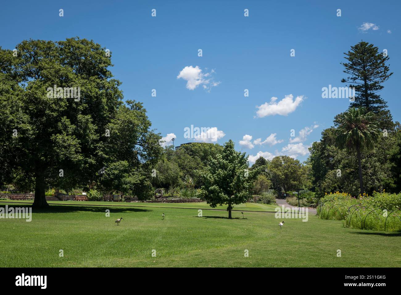 Royal Botanic Garden, a heritage-listed major 30-hectare botanical ...
