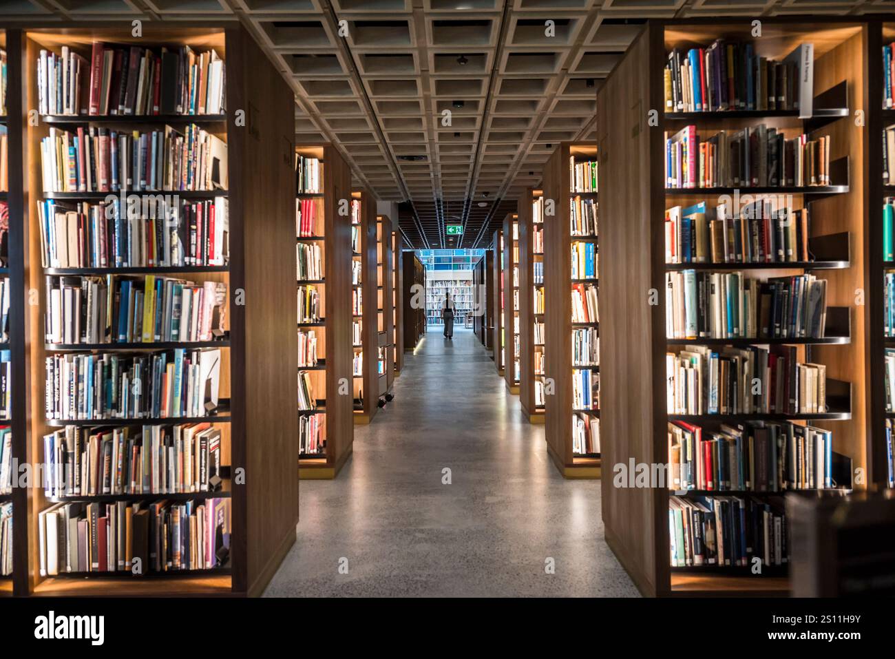 Library, archive and children's art library, Art Gallery of New South ...