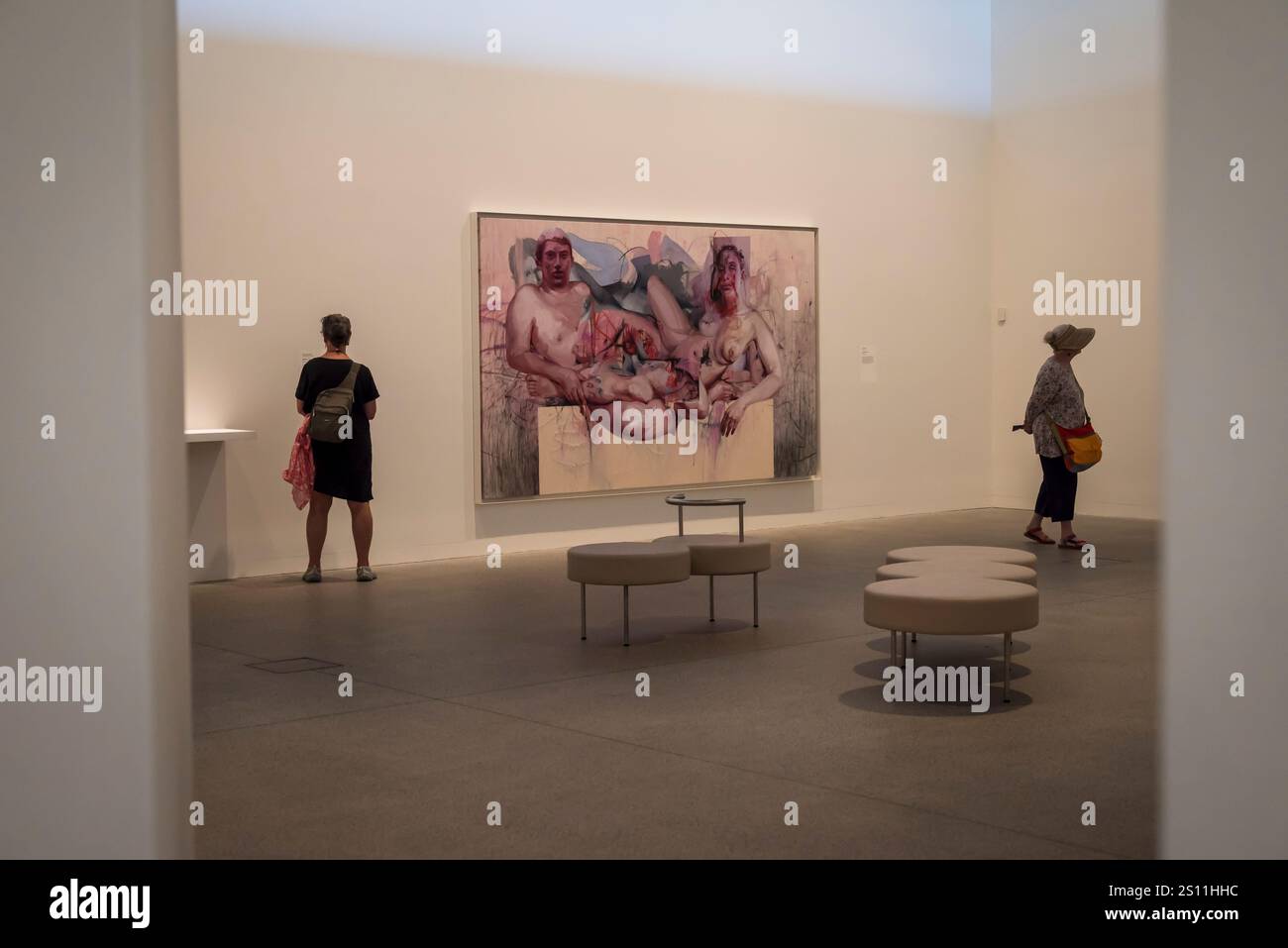 20th century art, 'Naala Badu', New building of the Art Gallery of New ...