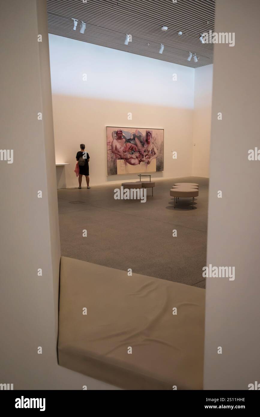 20th century art, 'Naala Badu', New building of the Art Gallery of New ...