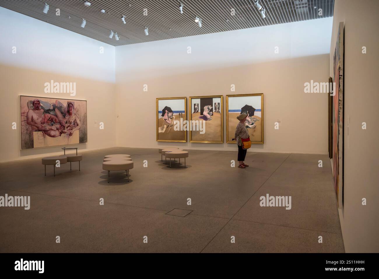 20th century art, 'Naala Badu', New building of the Art Gallery of New ...