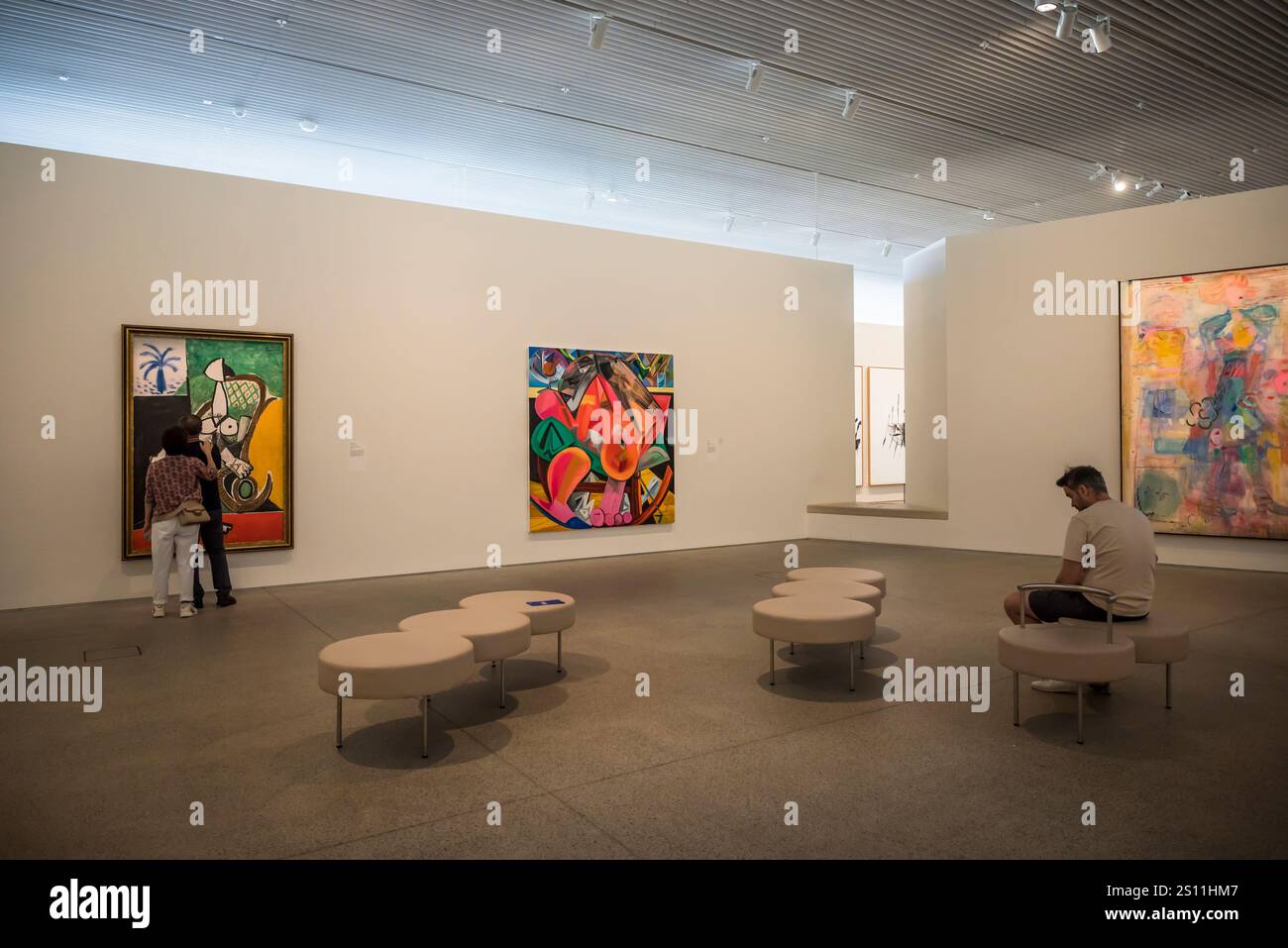 20th century art, 'Naala Badu', New building of the Art Gallery of New ...