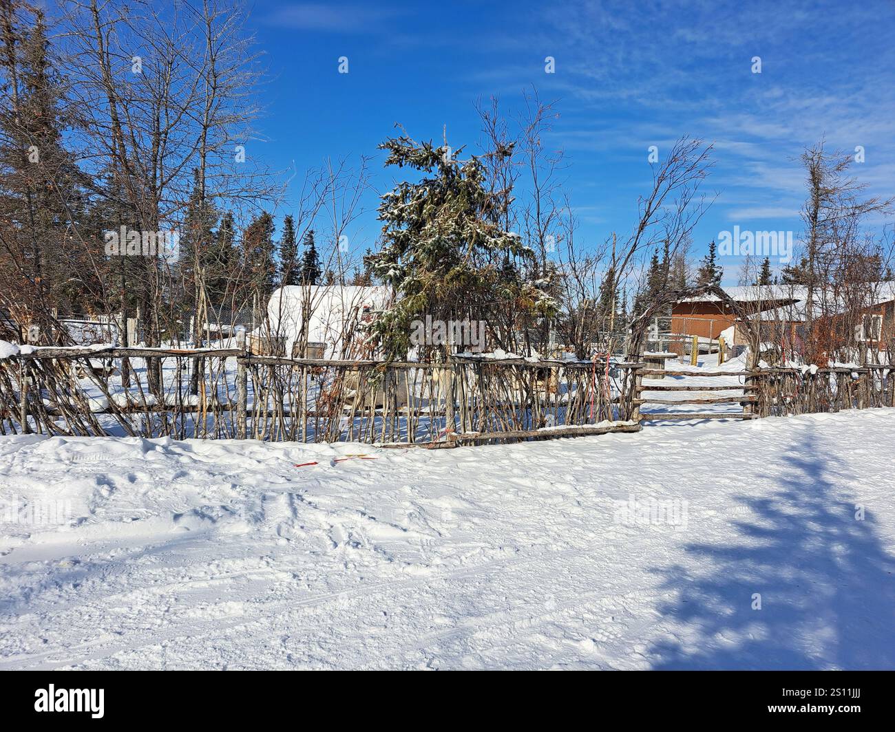 Dave daley churchill hi-res stock photography and images - Alamy