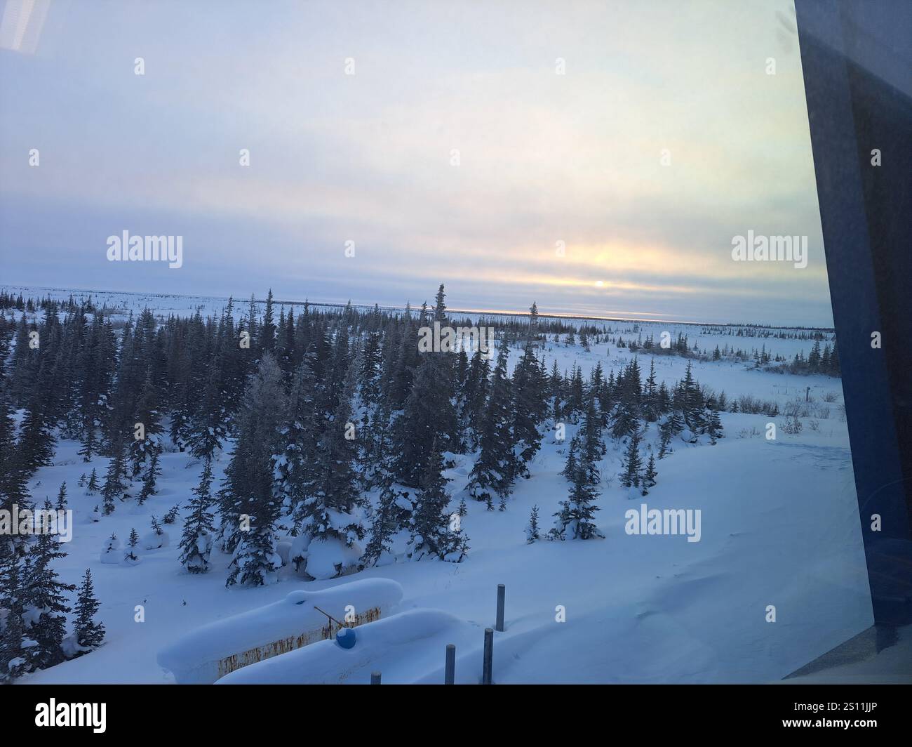 Wilderness vast boreal forest hi-res stock photography and images - Alamy