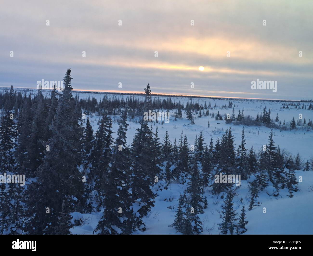 Boreal forest canada hi-res stock photography and images - Alamy