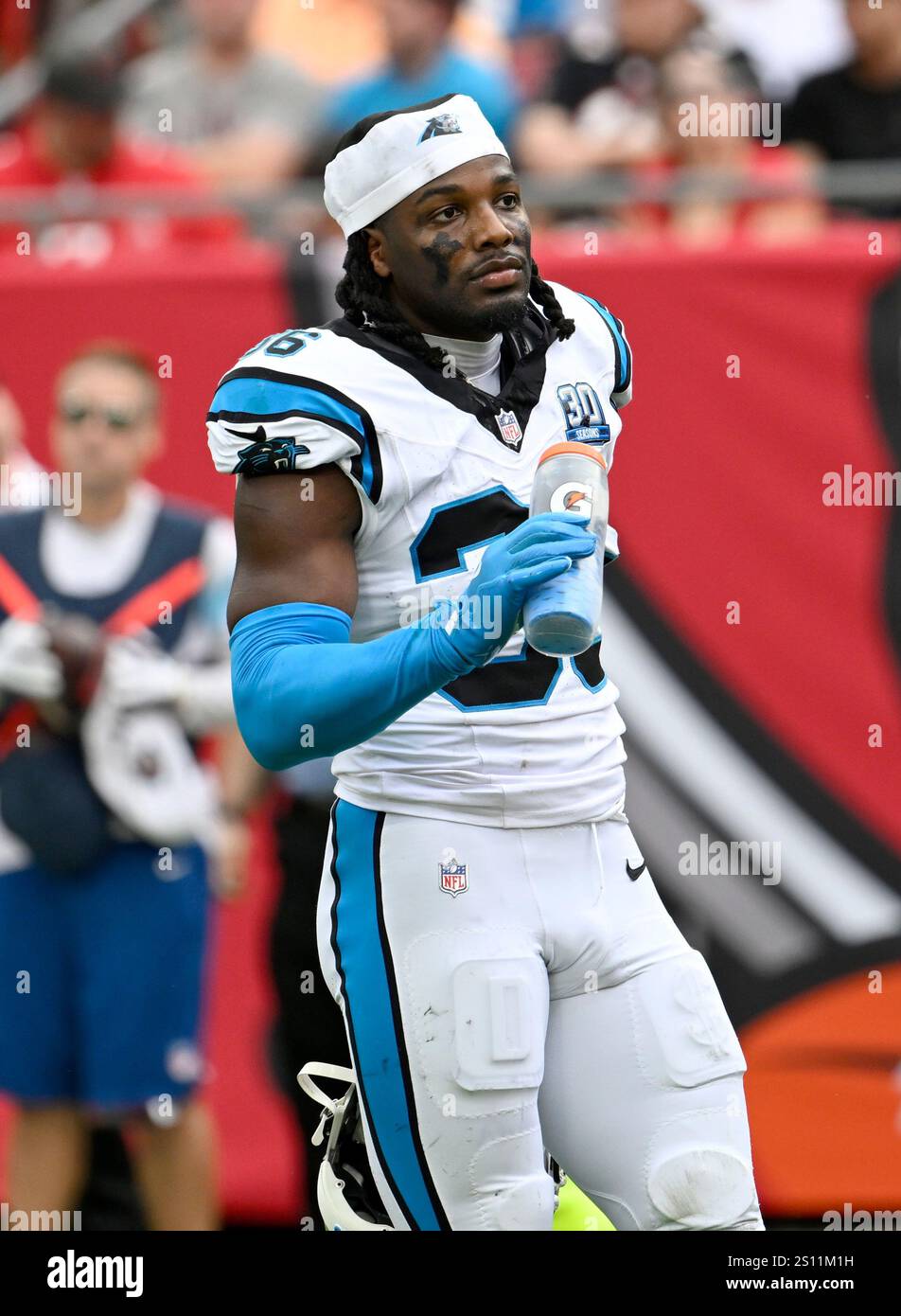 Carolina Panthers safety Demani Richardson (36) during an NFL football ...