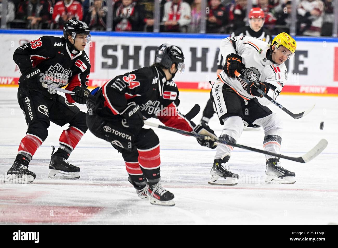 Eishockey DEL 24/25 - 31. Spieltag: Kölner Haie vs Löwen Frankfurt in ...