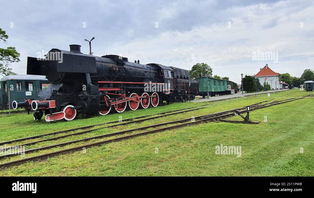 Black steam locomotive and green wagons on a green meadow next to a ...