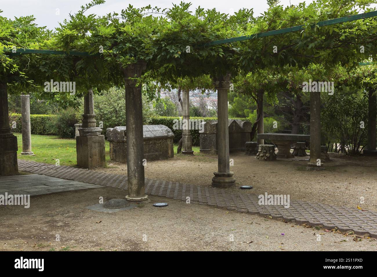 Shade garden with paving stone foot path and pergola covered with live ...
