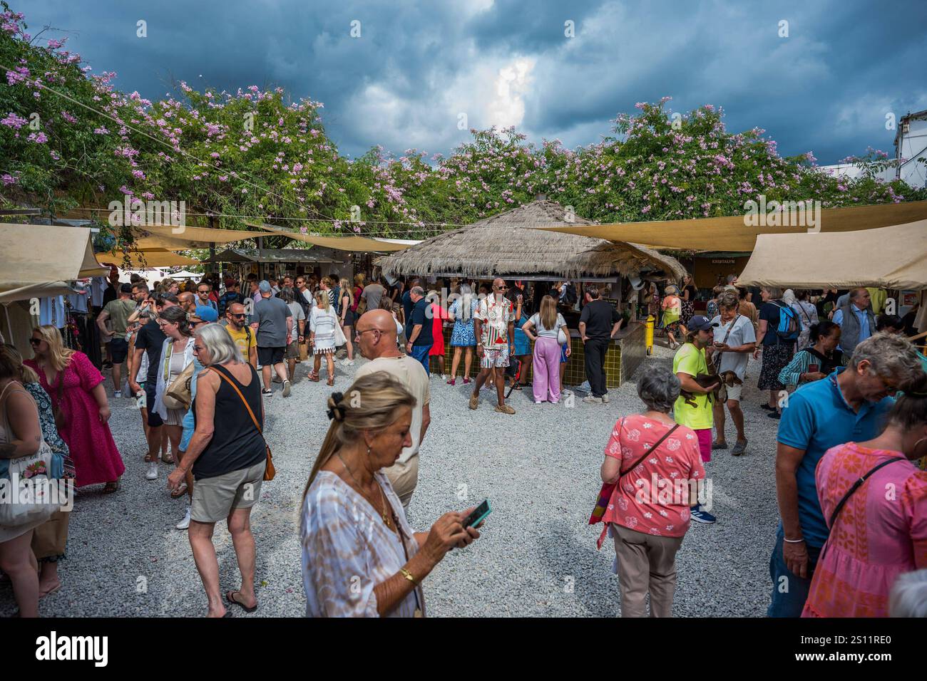 Las Dalias de Ibiza *** Las Dalias de Ibiza Stock Photo - Alamy