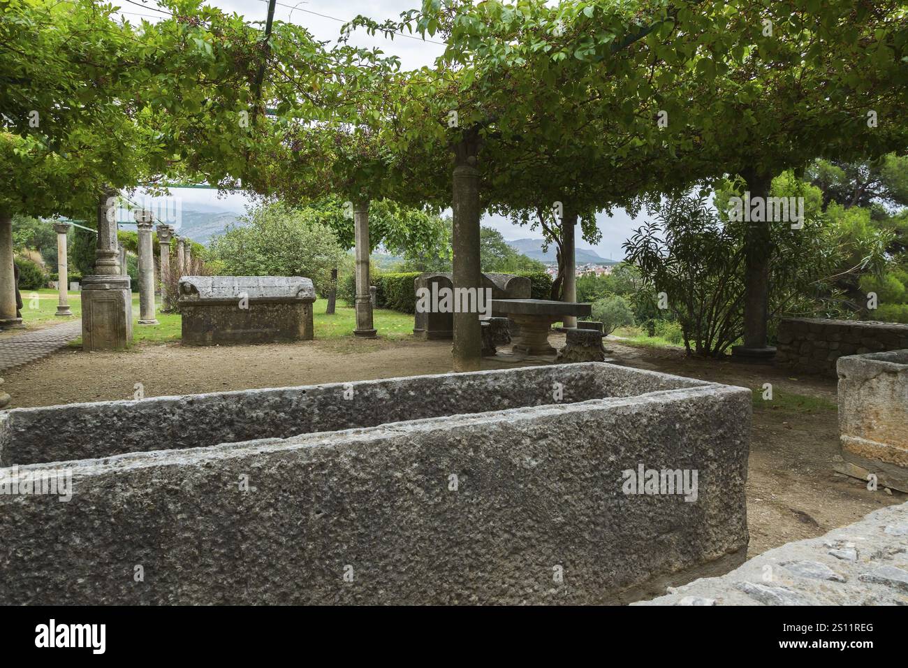 Large narrow stone container in shade garden with pergola covered with ...