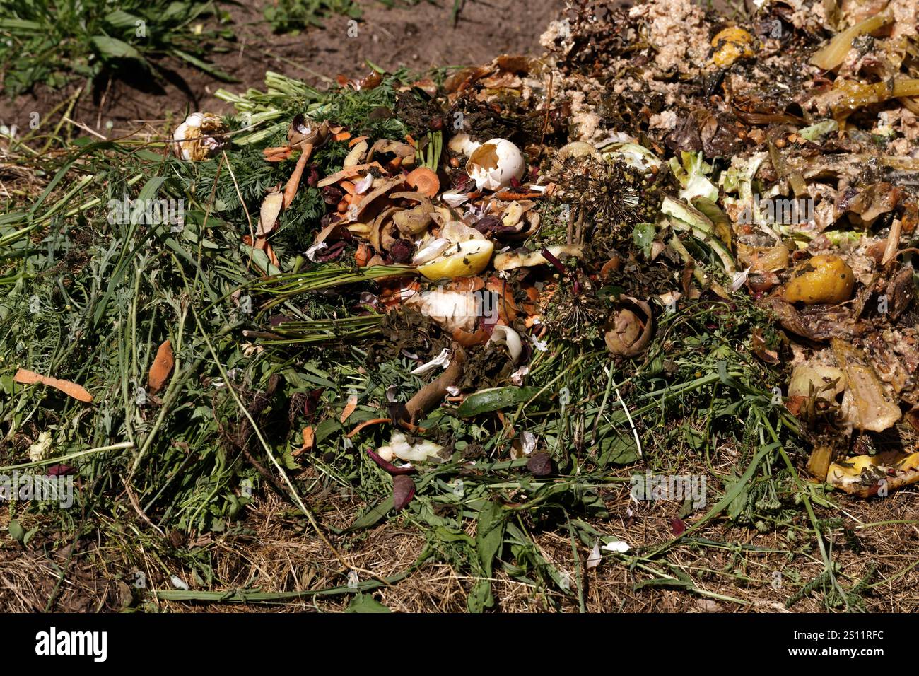 Compost. Compost and composted soil cycle as a composting pile of ...