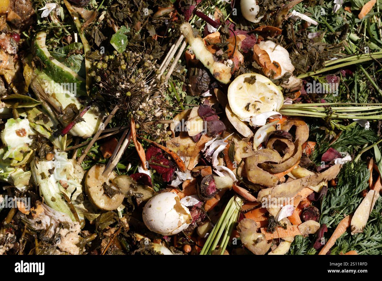 Compost. Compost and composted soil cycle as a composting pile of ...