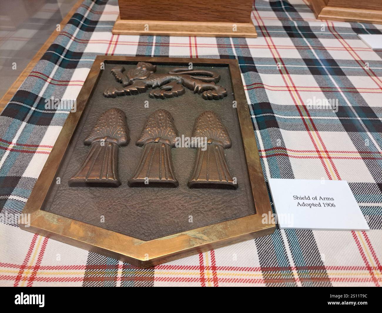 Shield of arms hi-res stock photography and images - Alamy