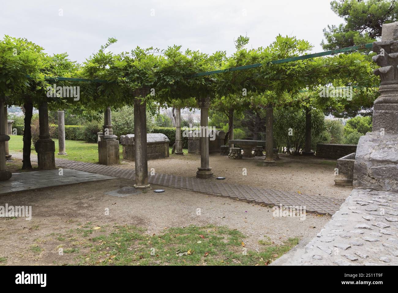 Shade garden with paving stone foot path and pergola covered with live ...