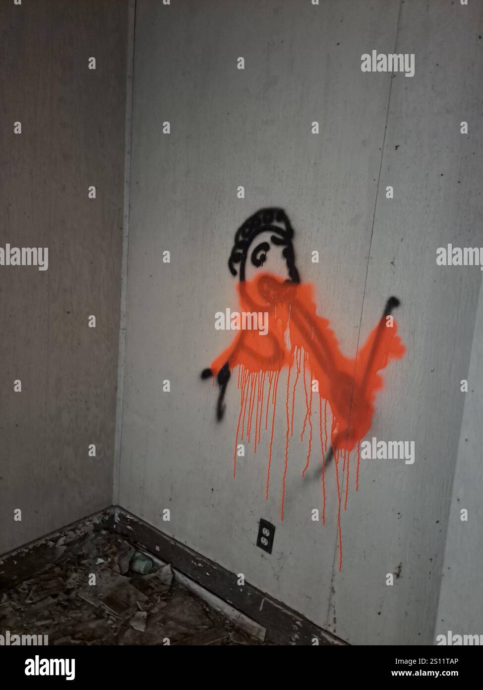 Graffiti tagged inside Highline houses in North Bend, British Columbia ...