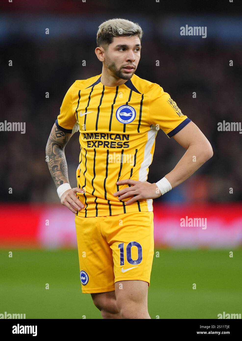 Brighton and Hove Albion's Julio Enciso during the Premier League match ...