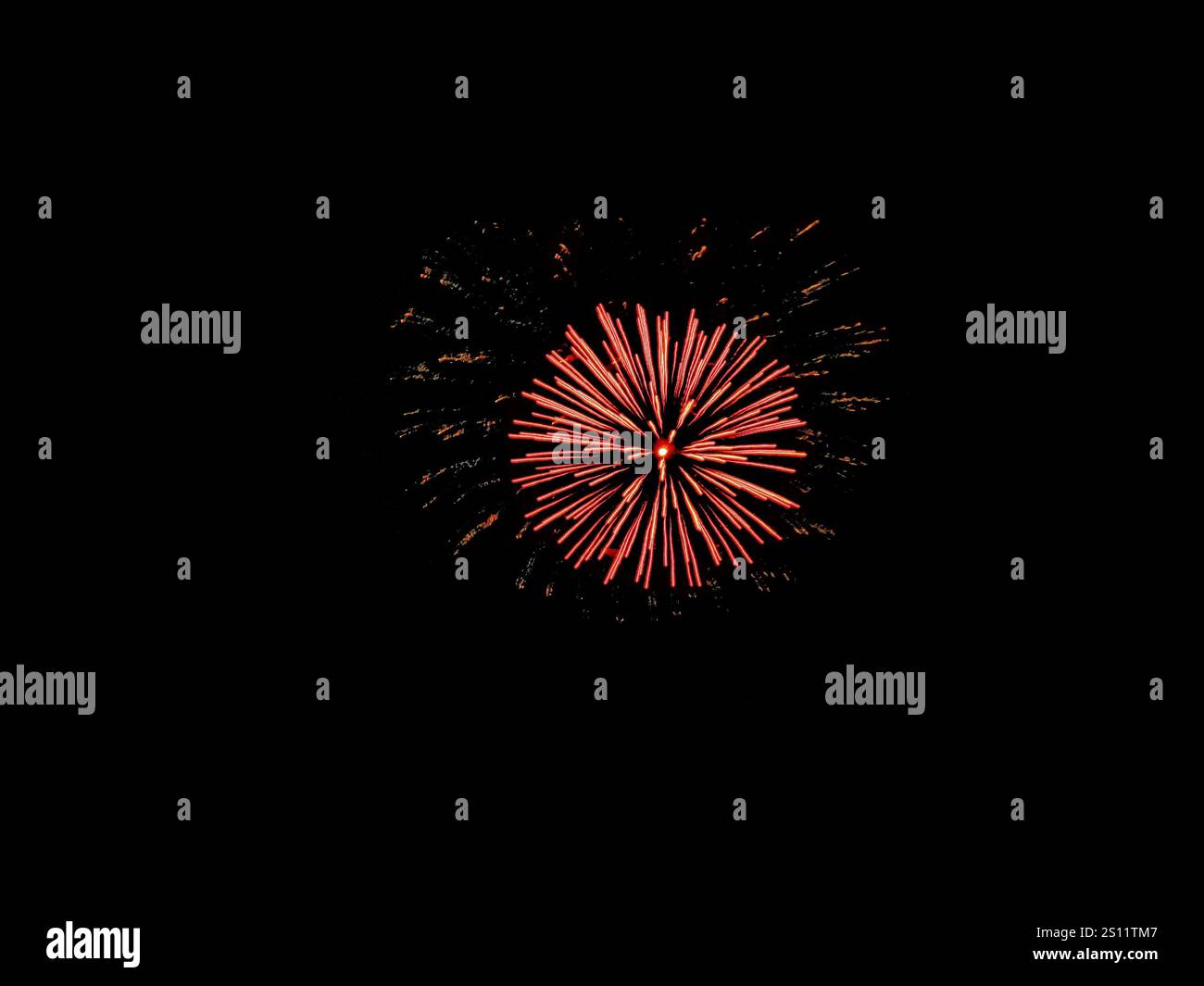 Fireworks in front of black background, single red peony, effect, light ...