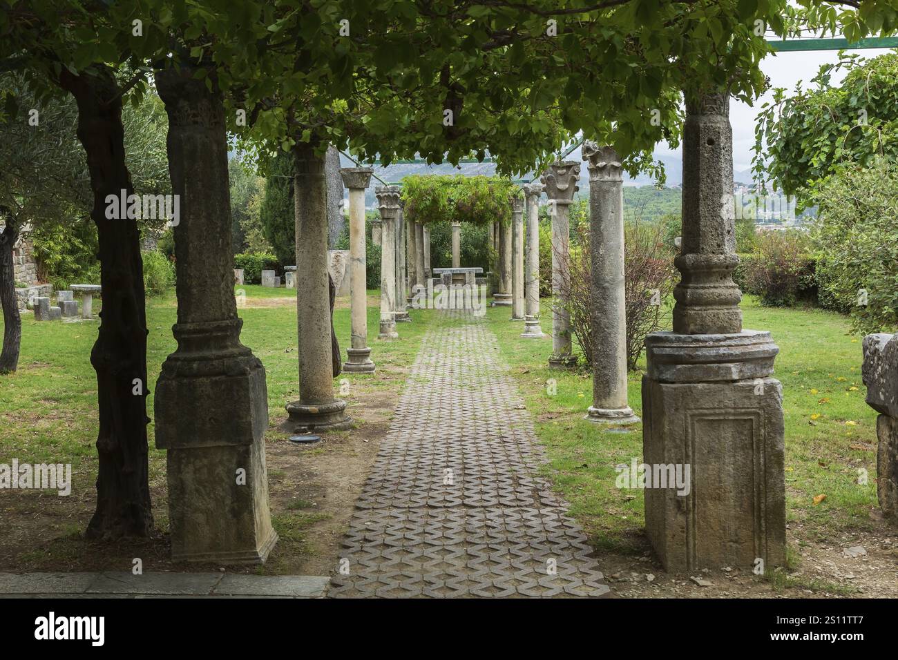 Shade garden with paving stone foot path and pergola covered with live ...
