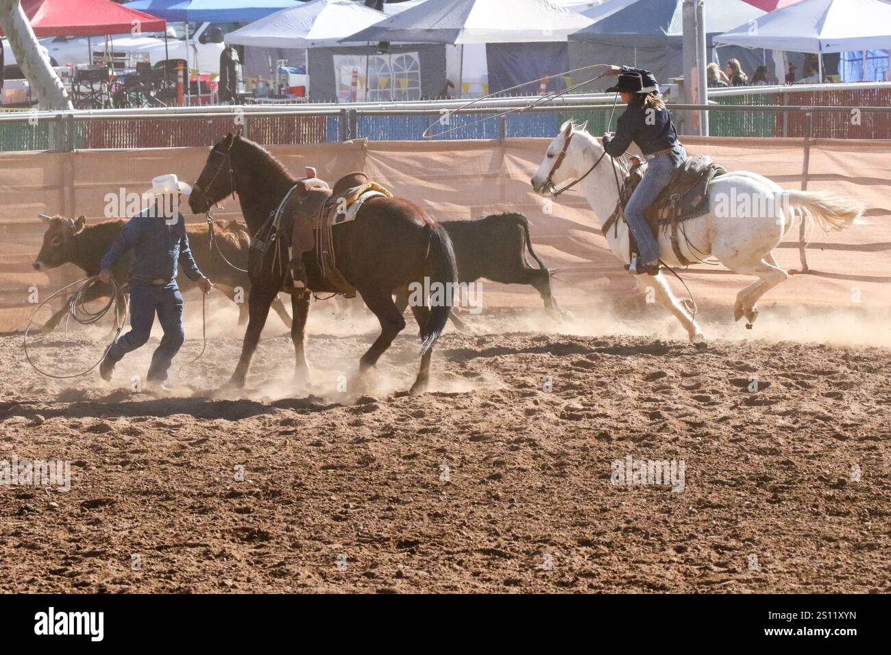 Cowboys and cowgirls from working ranches show off their skills at the ...