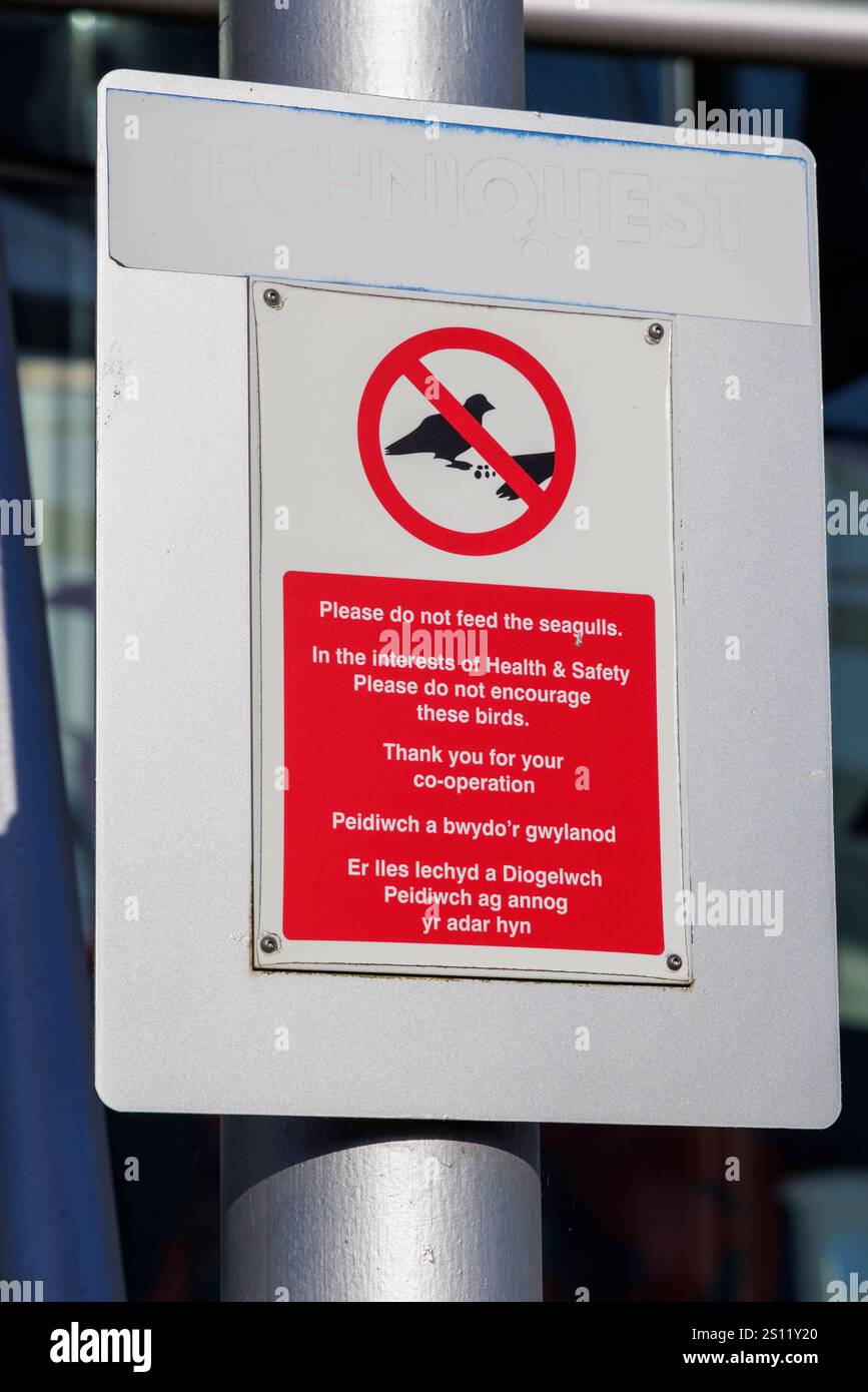 Do not feed seagulls warning sign, bilingual Welsh and English, Cardiff ...