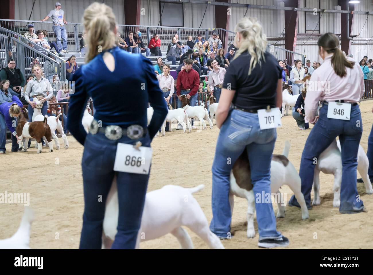 Exhibitors in the show ring for the JR. Goat Showmanship at the 76th ...