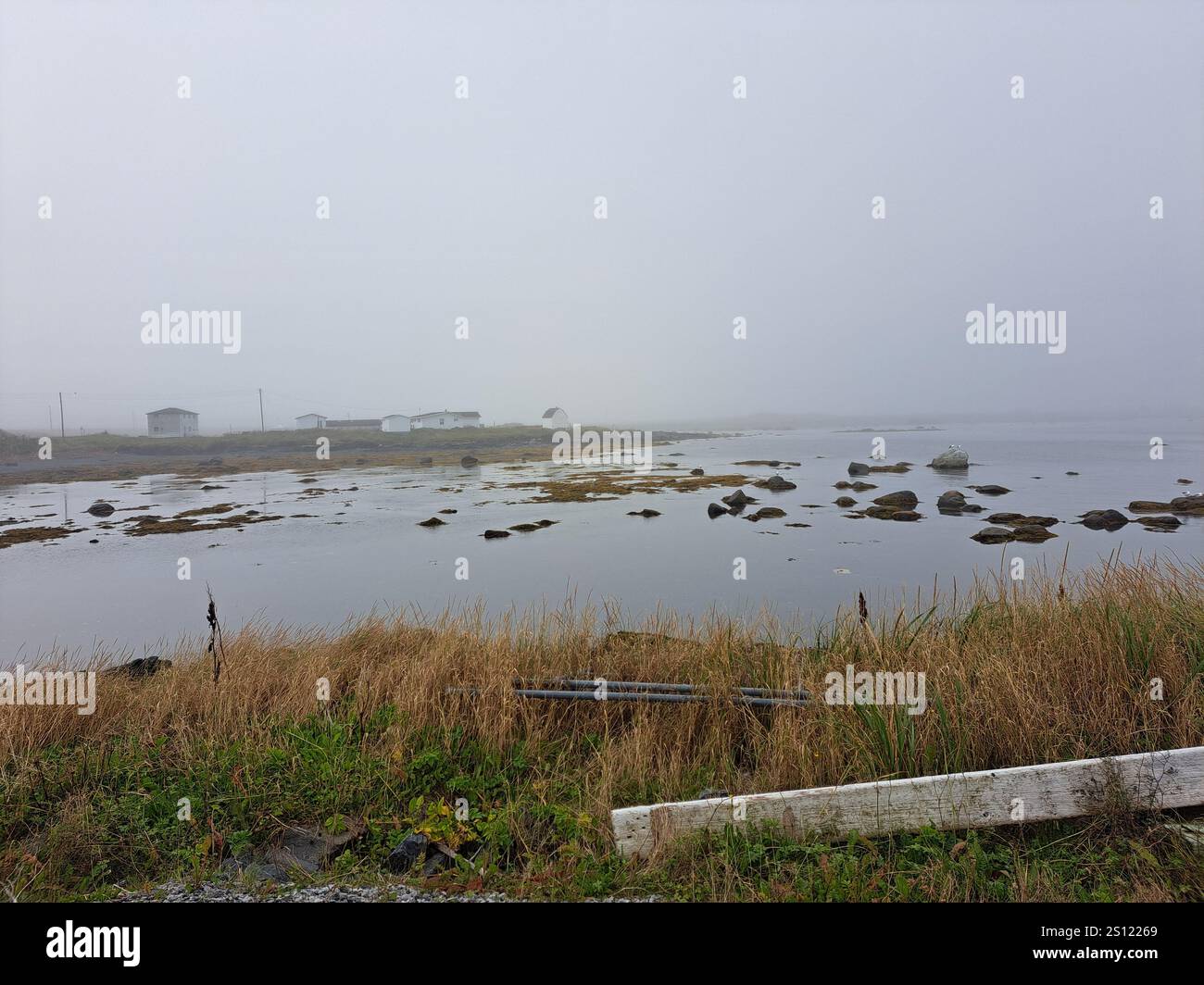 Beach in L’Anse aux Meadows, Newfoundland & Labrador, Canada Stock ...