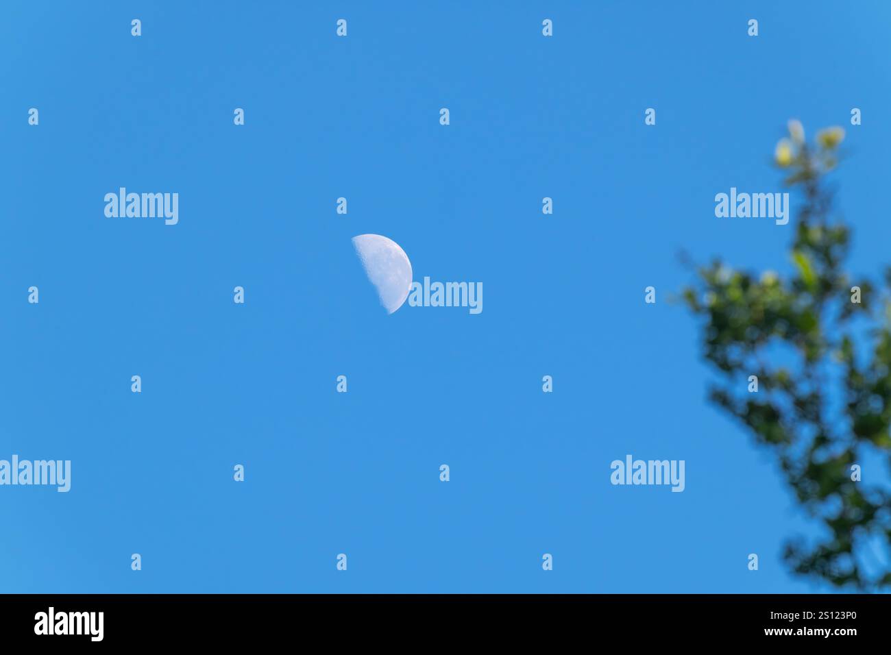 Half moon fading in blue sky Stock Photo - Alamy